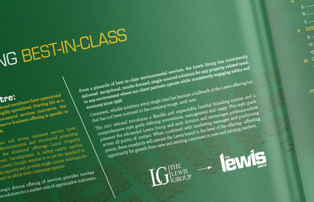 The Lewis Group B2B Professional Services Branding, Marketing, Website ...